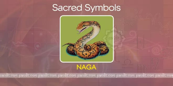 What is Naga