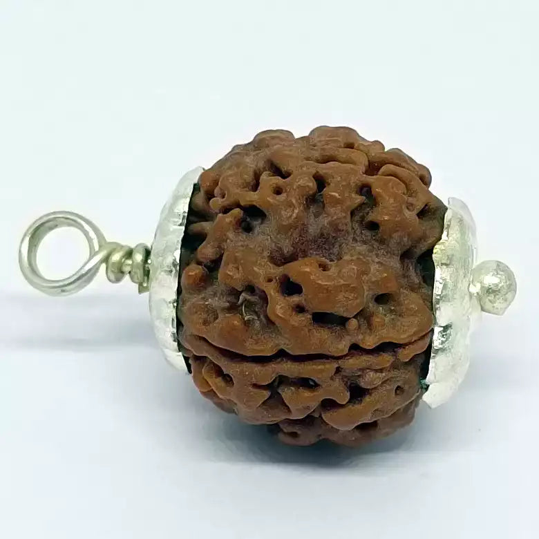 Rudraksha Online Store: Buy Original Rudraksha Products