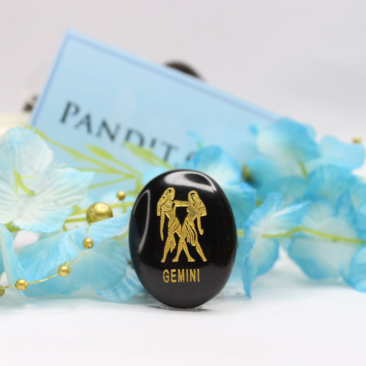 Gemini Zodiac Sign Coin – Pandit.com