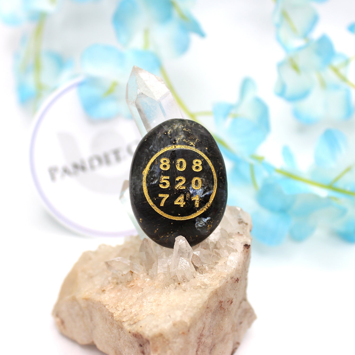 Larvikite Zibu Symbol Coin – Pandit.com