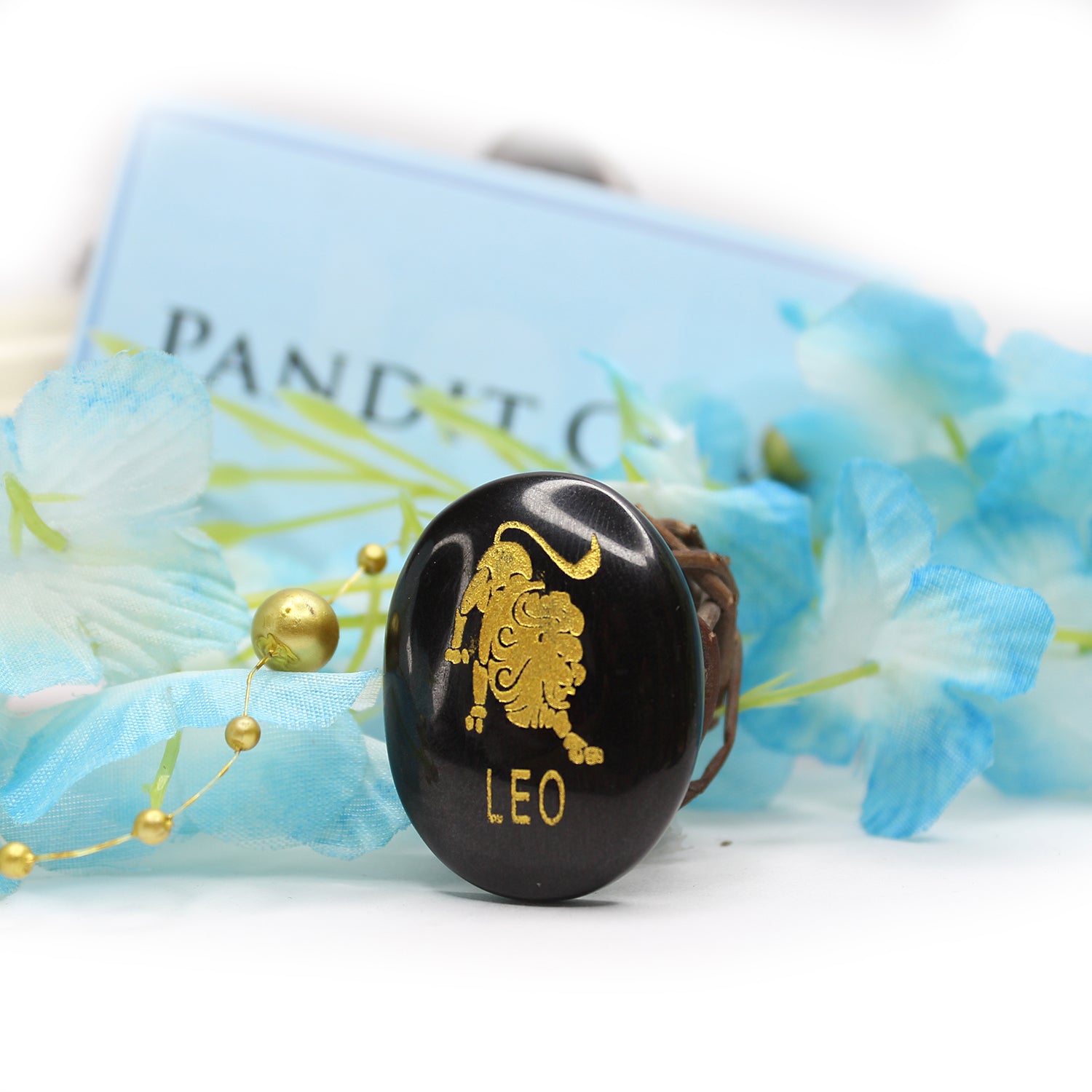 Leo Zodiac Sign Coin – Pandit.com