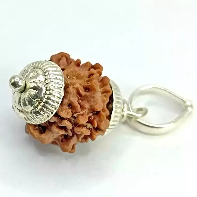 Rudraksha Online Store: Buy Original Rudraksha Products