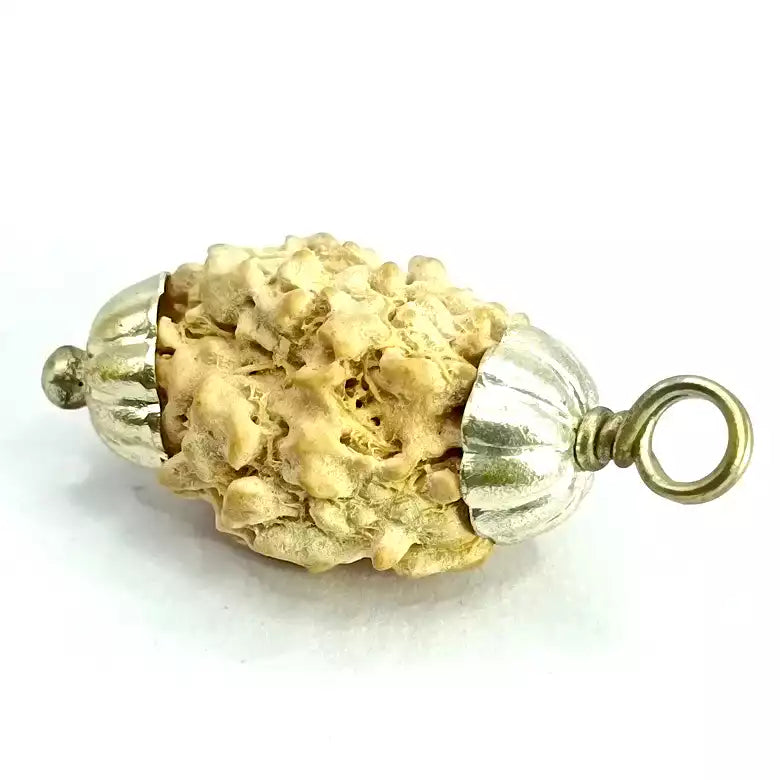 Rudraksha Online Store: Buy Original Rudraksha Products