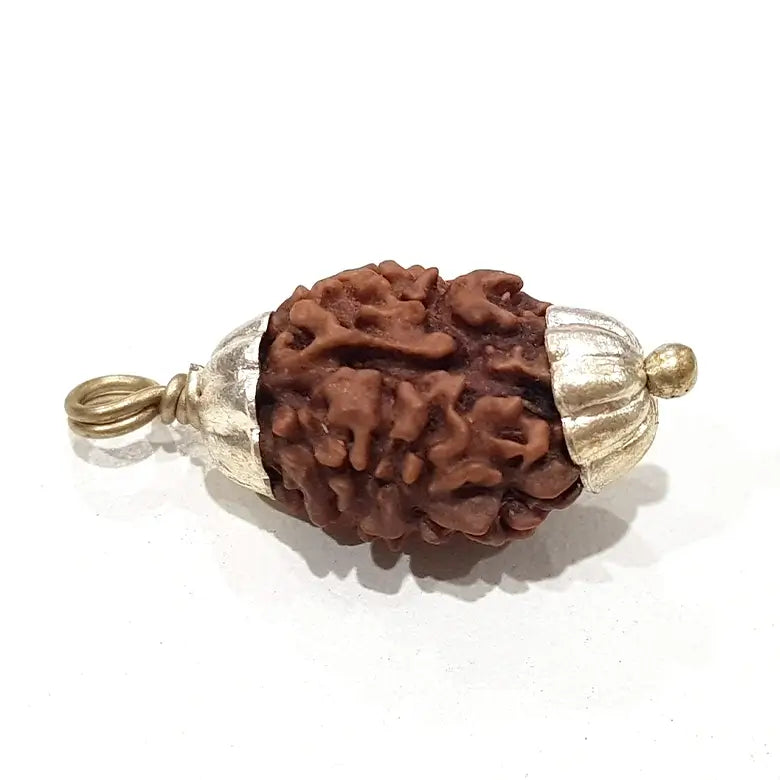 Rudraksha Online Store: Buy Original Rudraksha Products